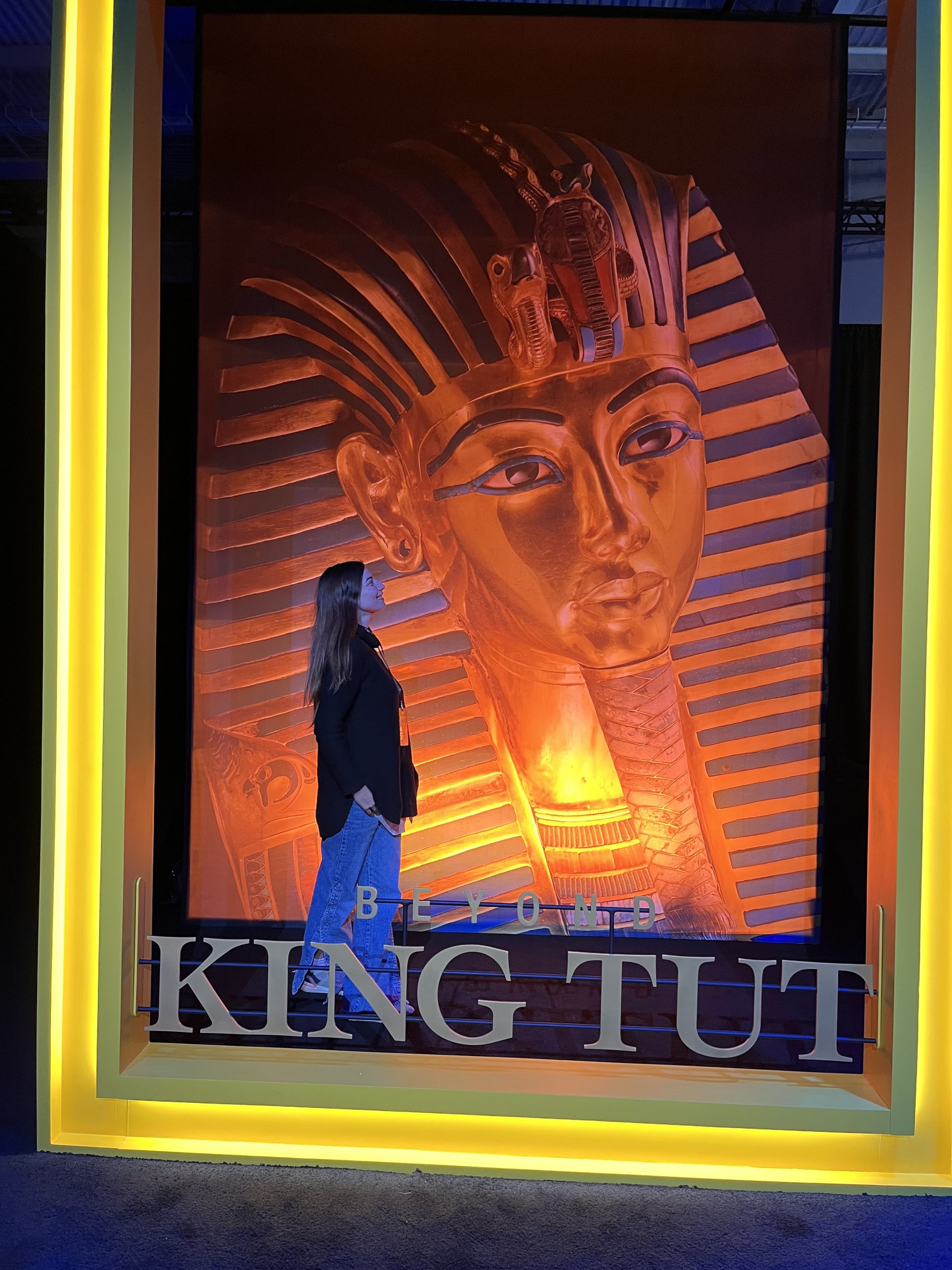 6 Greatest Immersive Art Experience In NYC - Artt Modern Miami